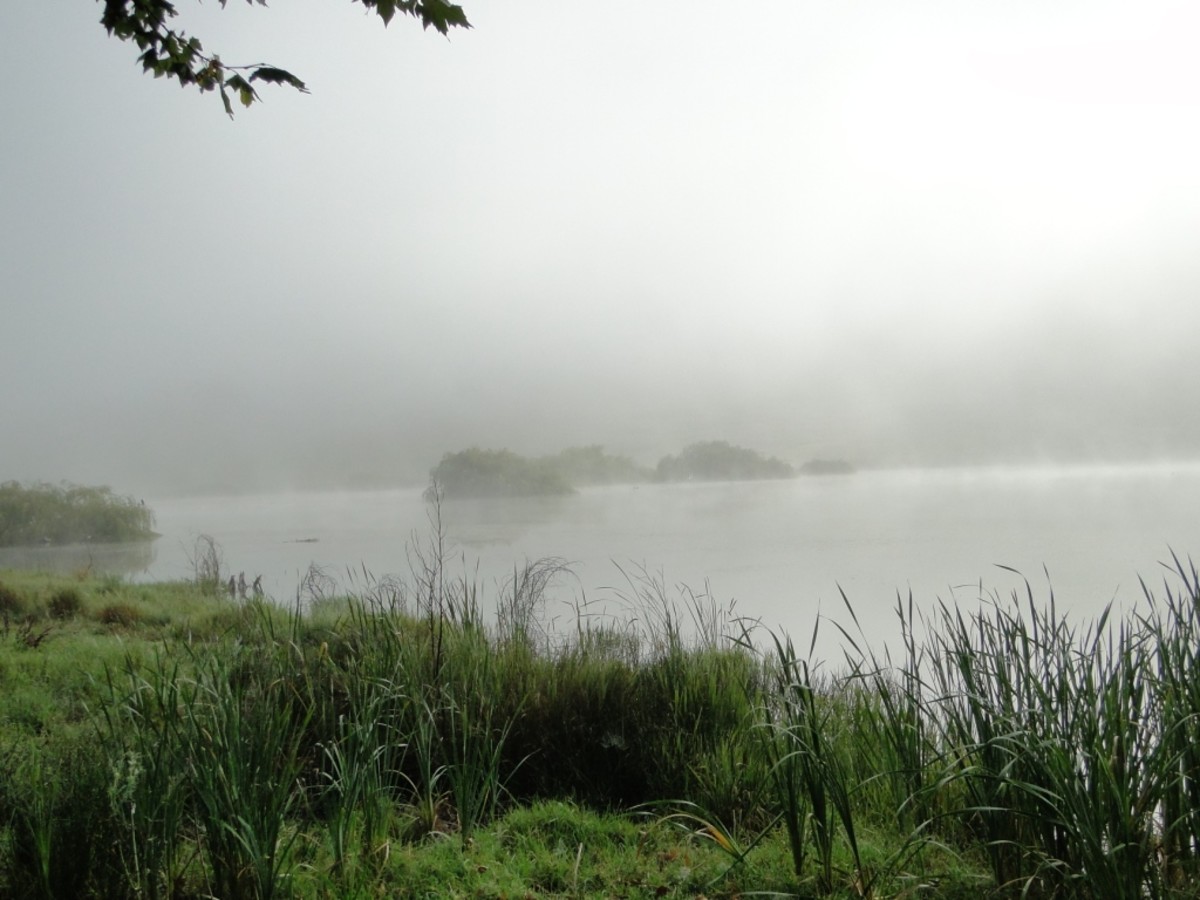 Mount Currie Nature Reserve-Where Even the Zebras Are Friendly - HubPages
