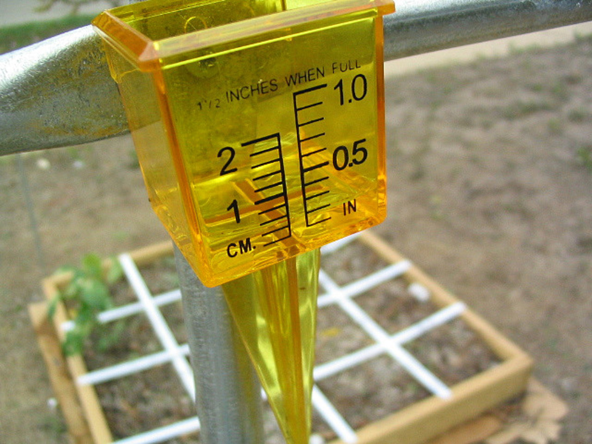 How is Precipitation and Rainfall Measured and How do Rain Gauges Work ...