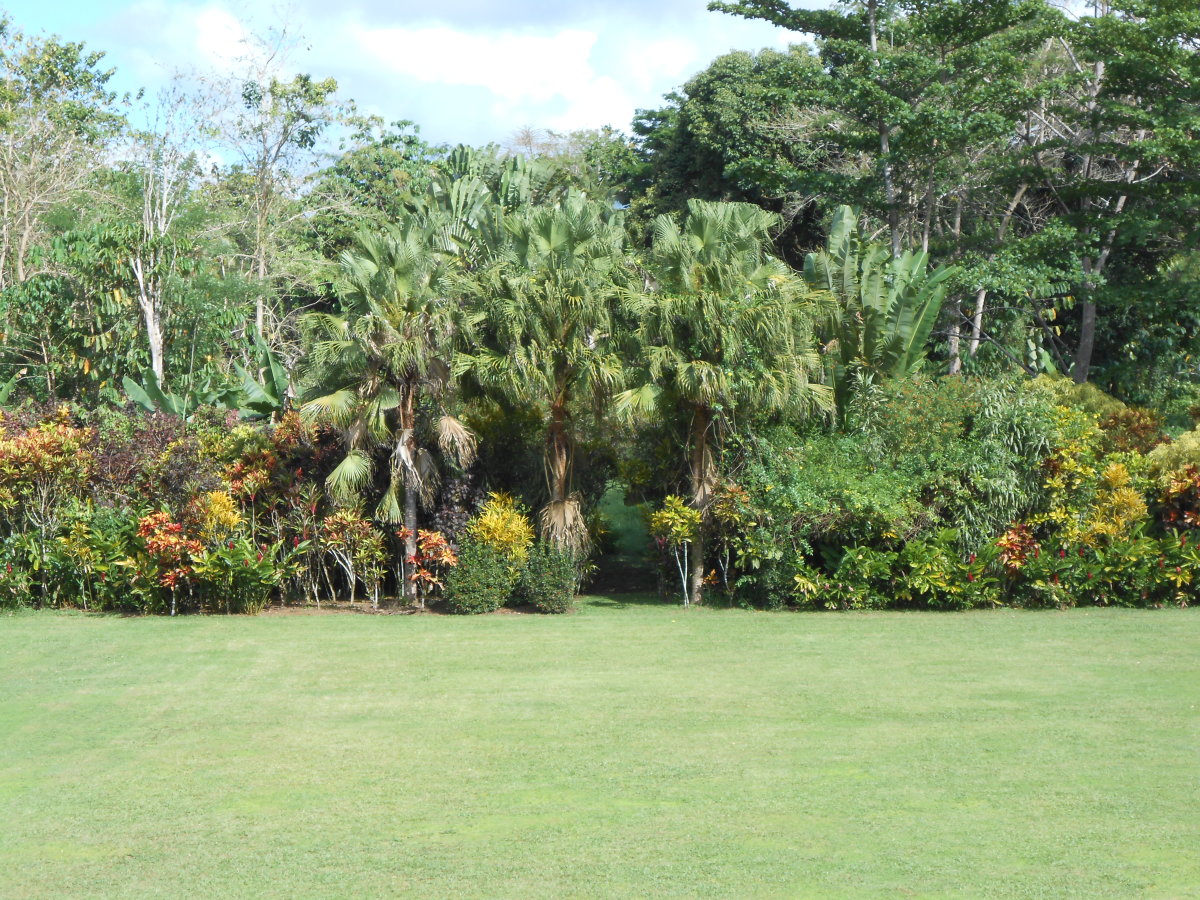 Vailima, Samoa: Robert Louis Stevenson's Final Home and Resting Place ...