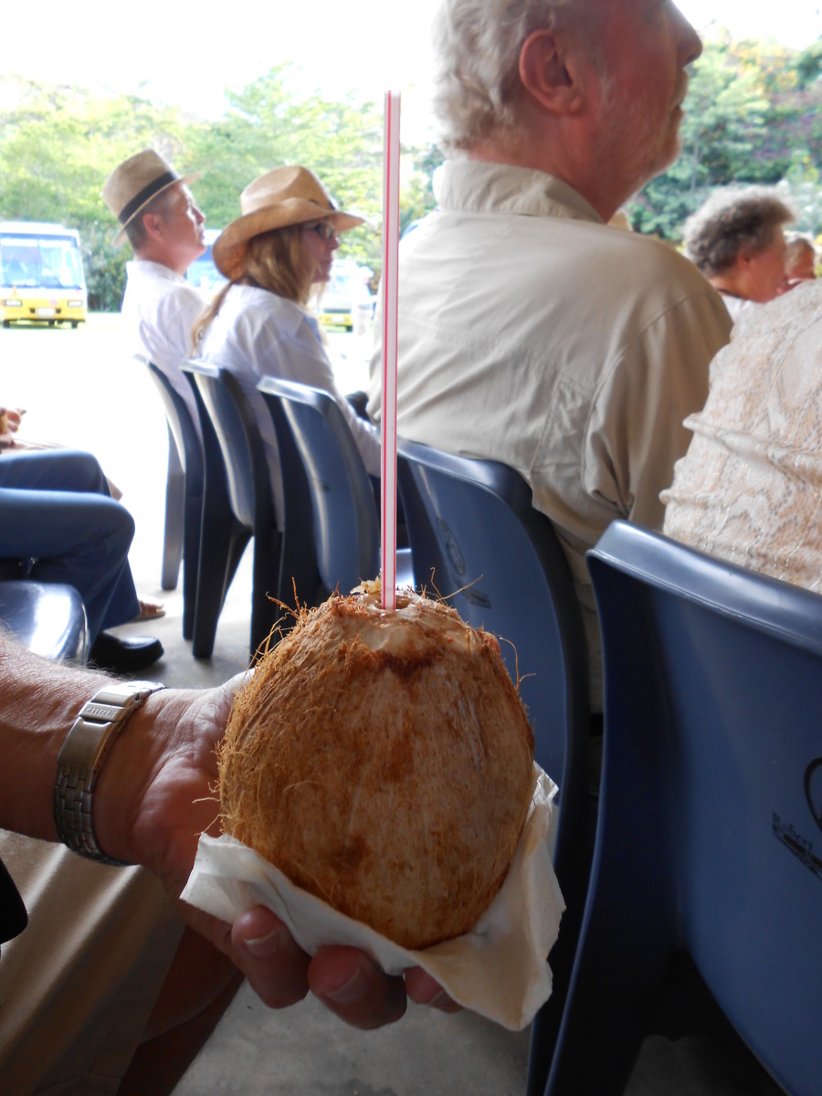 Vailima, Samoa: Robert Louis Stevenson's Final Home and Resting Place ...
