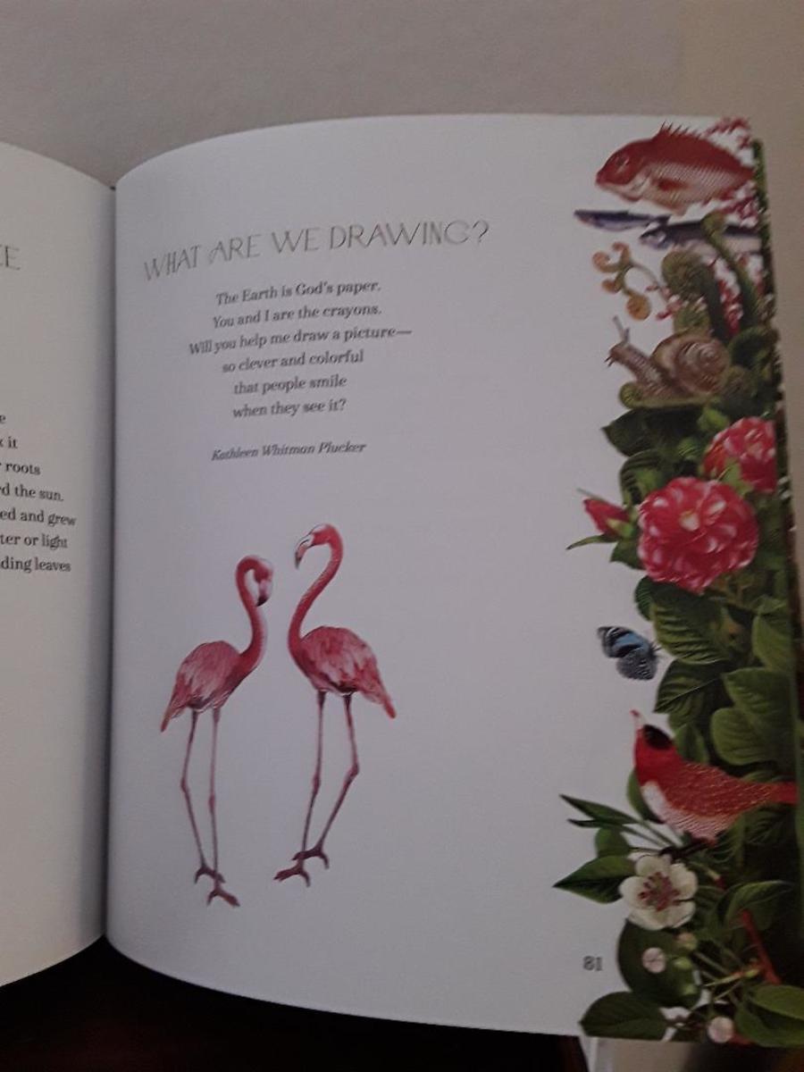 Poetry for Earth Day in Gorgeous Picture Book for Young Readers - HubPages
