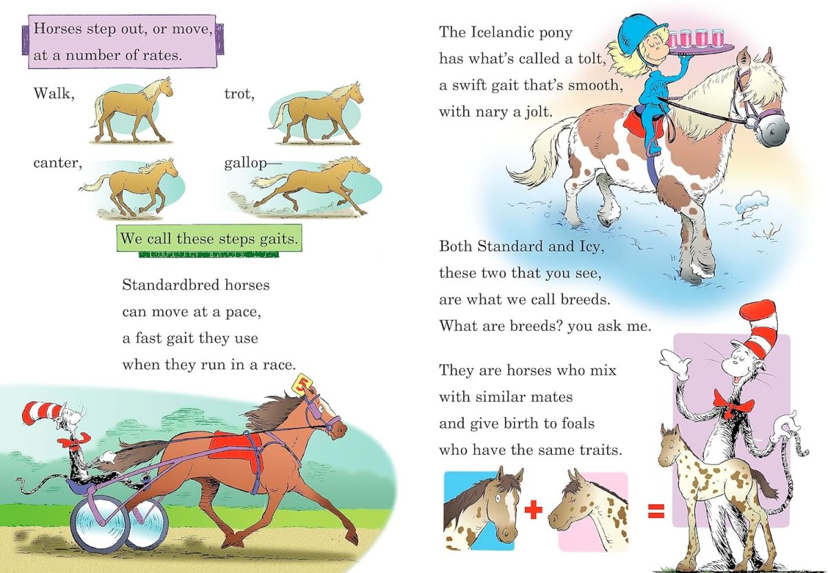 Horse Lesson Plan for Younger Children - HubPages