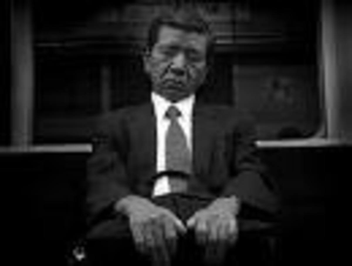 Zen Pinball Spider Man