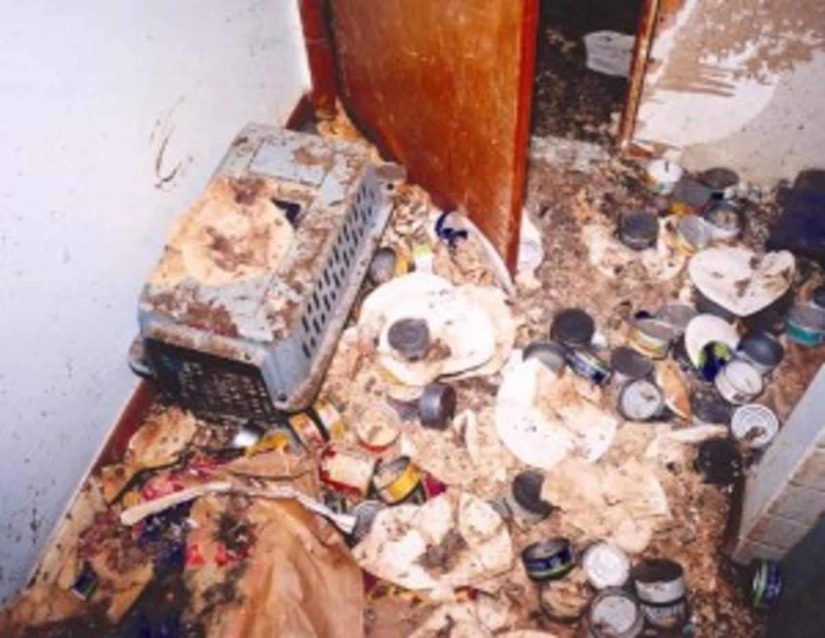 How to Recognize and Deal with Family Hoarders - HubPages