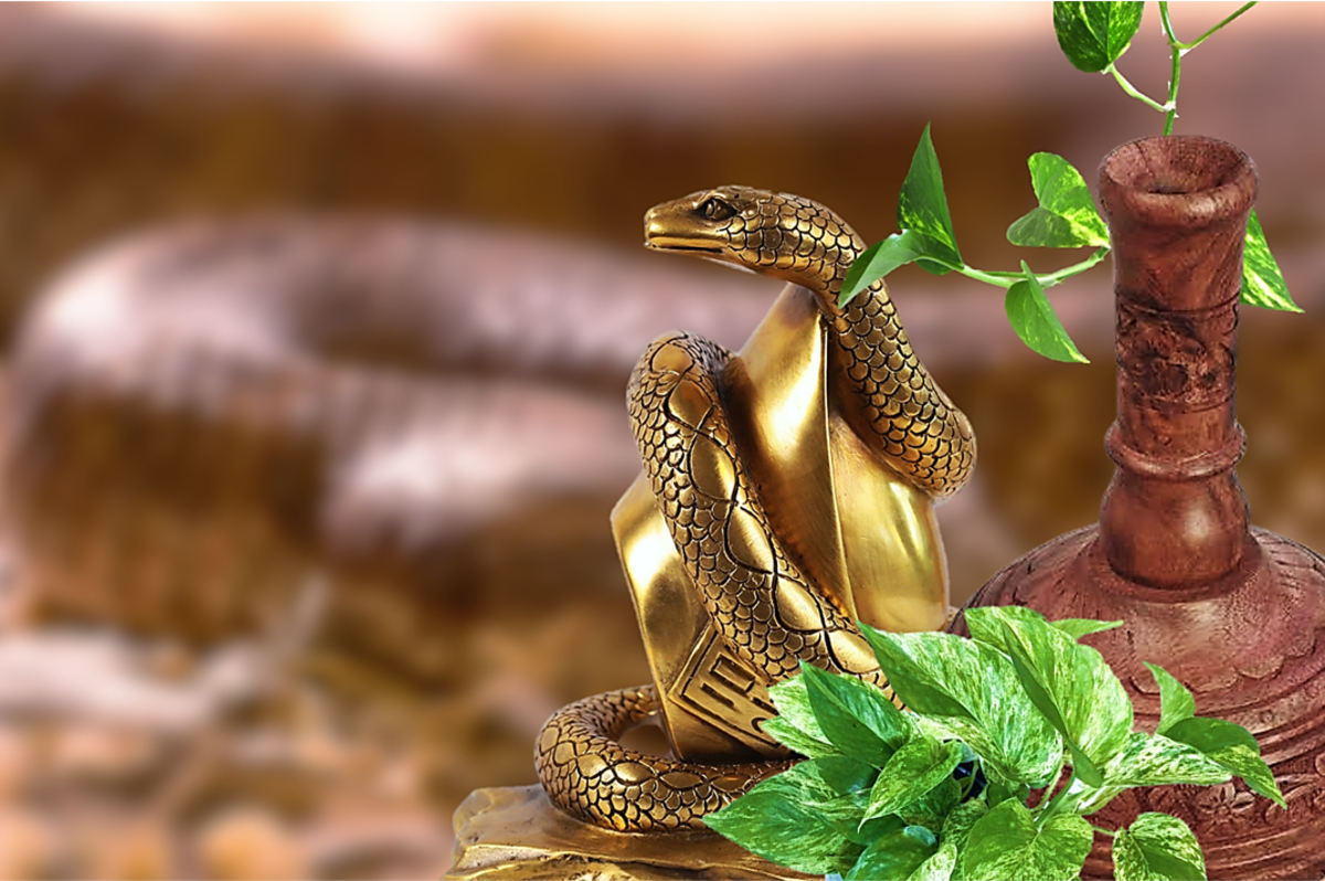 11 Most Auspicious Feng Shui Animals - HubPages