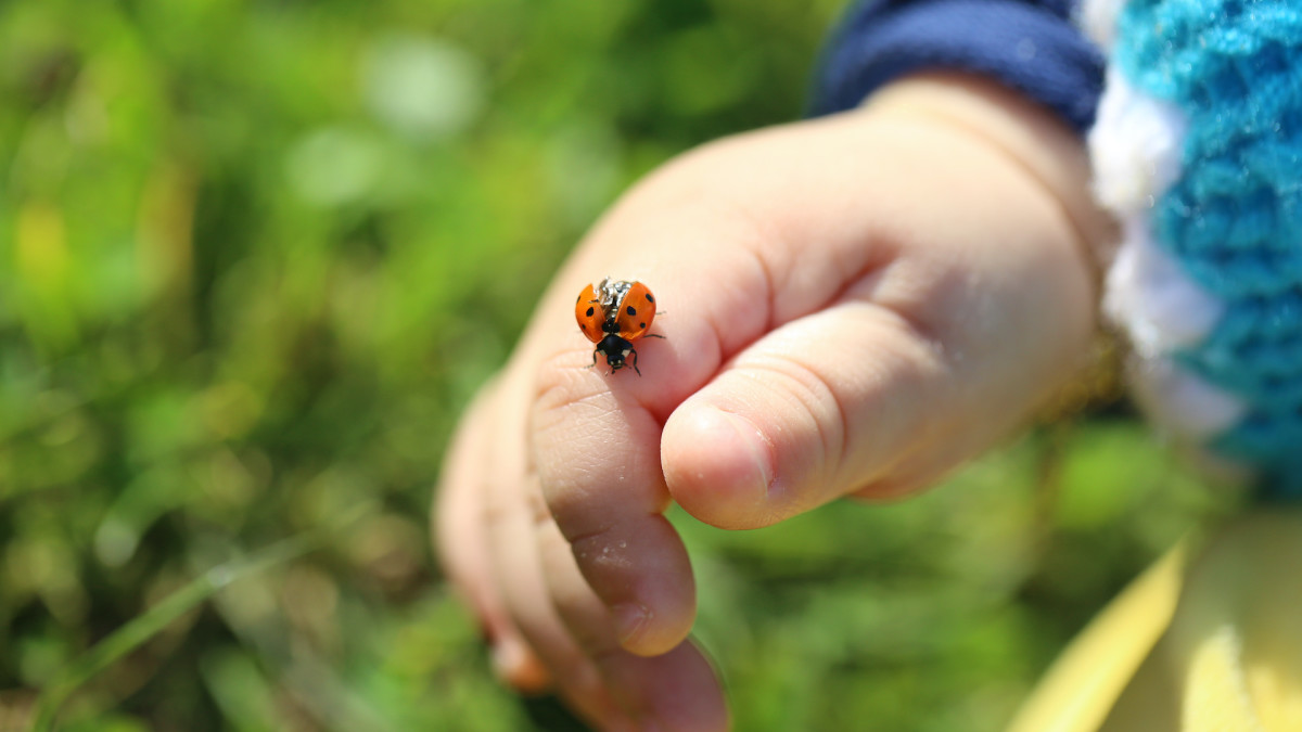 Sensitive Toddler Completely Loses It After Accidentally Stepping on a ...
