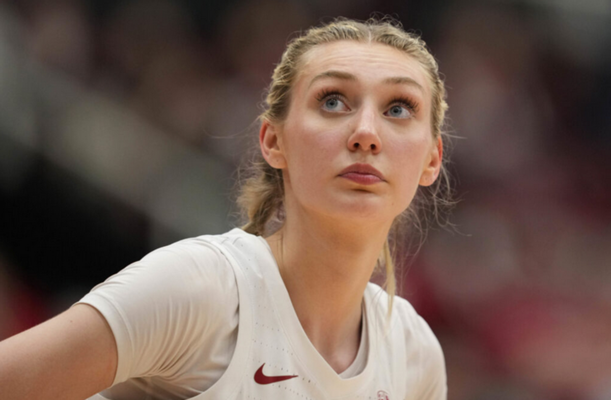 50 Funny And Clever Wnba Fantasy Womens Basketball Team Names Hubpages
