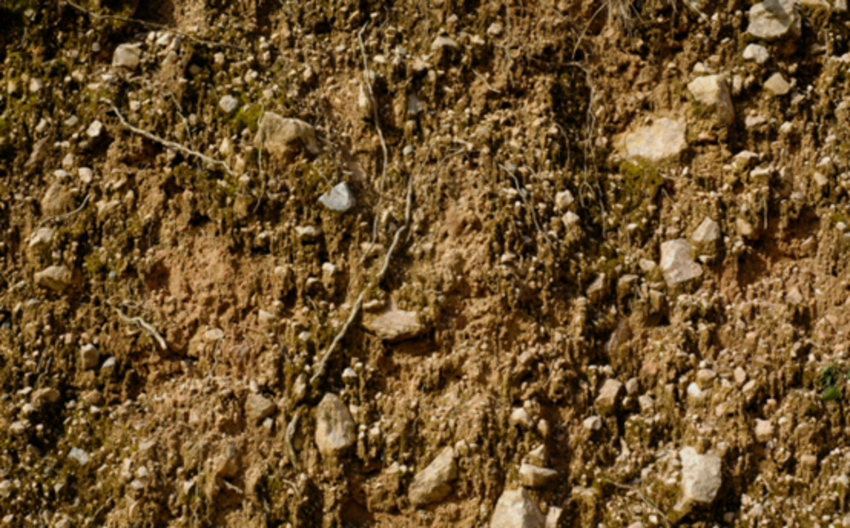 Is the Soil Made up of Hundreds of Billions of Decaying Human Bodies ...