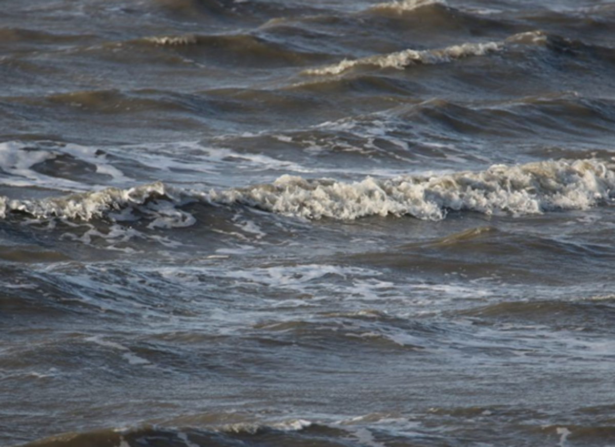 Is the Soil Made up of Hundreds of Billions of Decaying Human Bodies ...