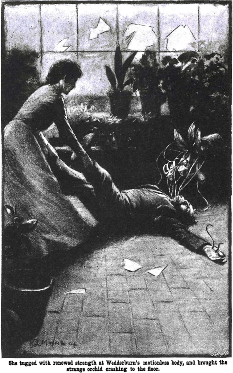 "Evil Roots: Killer Tales of the Botanical Gothic" edited by Daisy ...