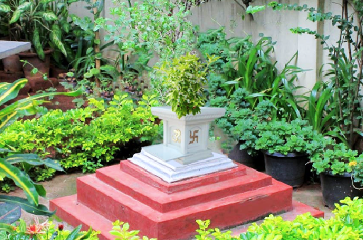 5 Sacred Trees That Are Worshiped in India - HubPages