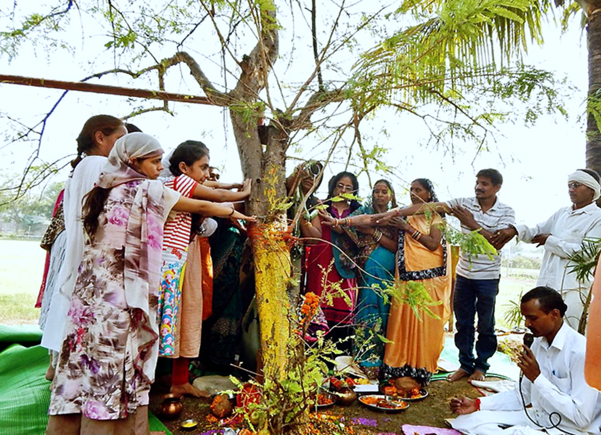5 Sacred Trees That Are Worshiped in India - HubPages