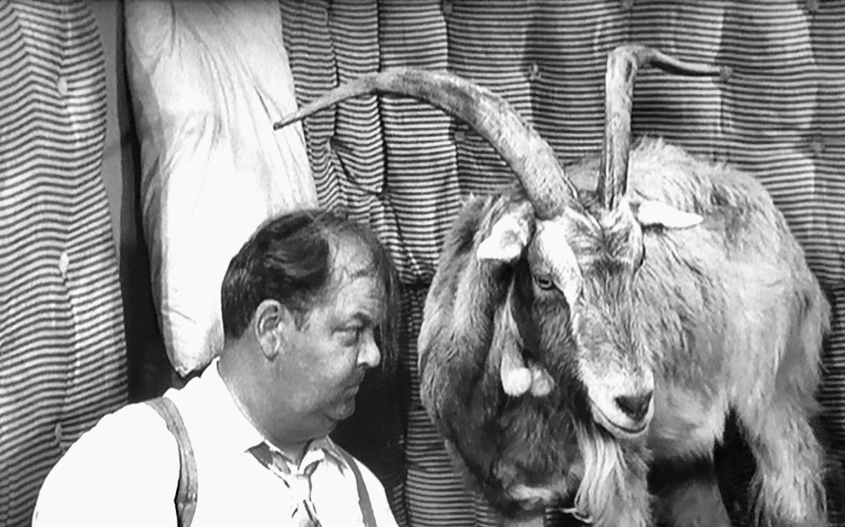 Jimmy the Loaded Goat on The Andy Griffith Show - HubPages