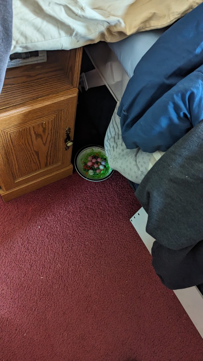 Easter Bunny - Job Requirements - HubPages