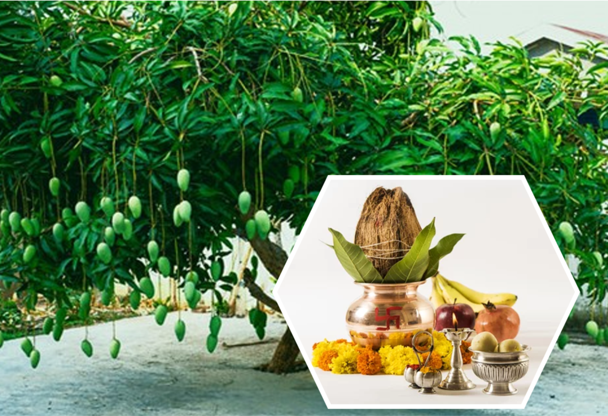 12 Sacred Trees In India That Have Religious Significance In Hinduism ...