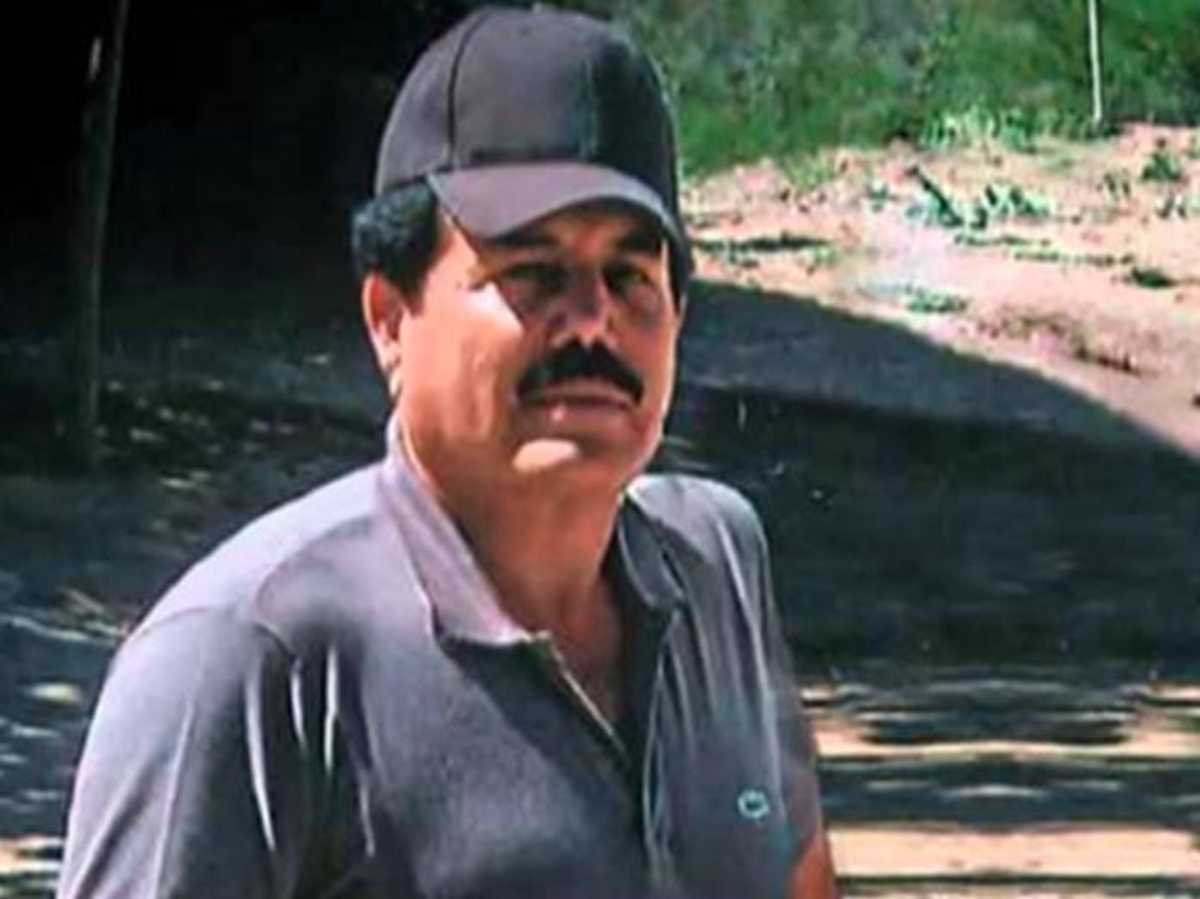 A Preview Guide to World's Most Wanted on Netflix - HubPages