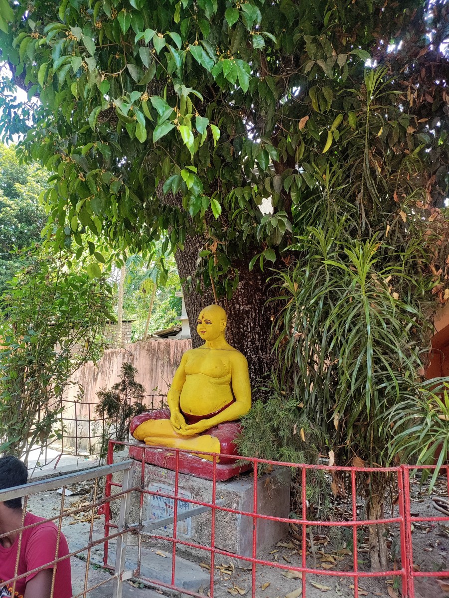 Maida Patalbhedini Dakshina Kali temple - a Kali temple with connection ...