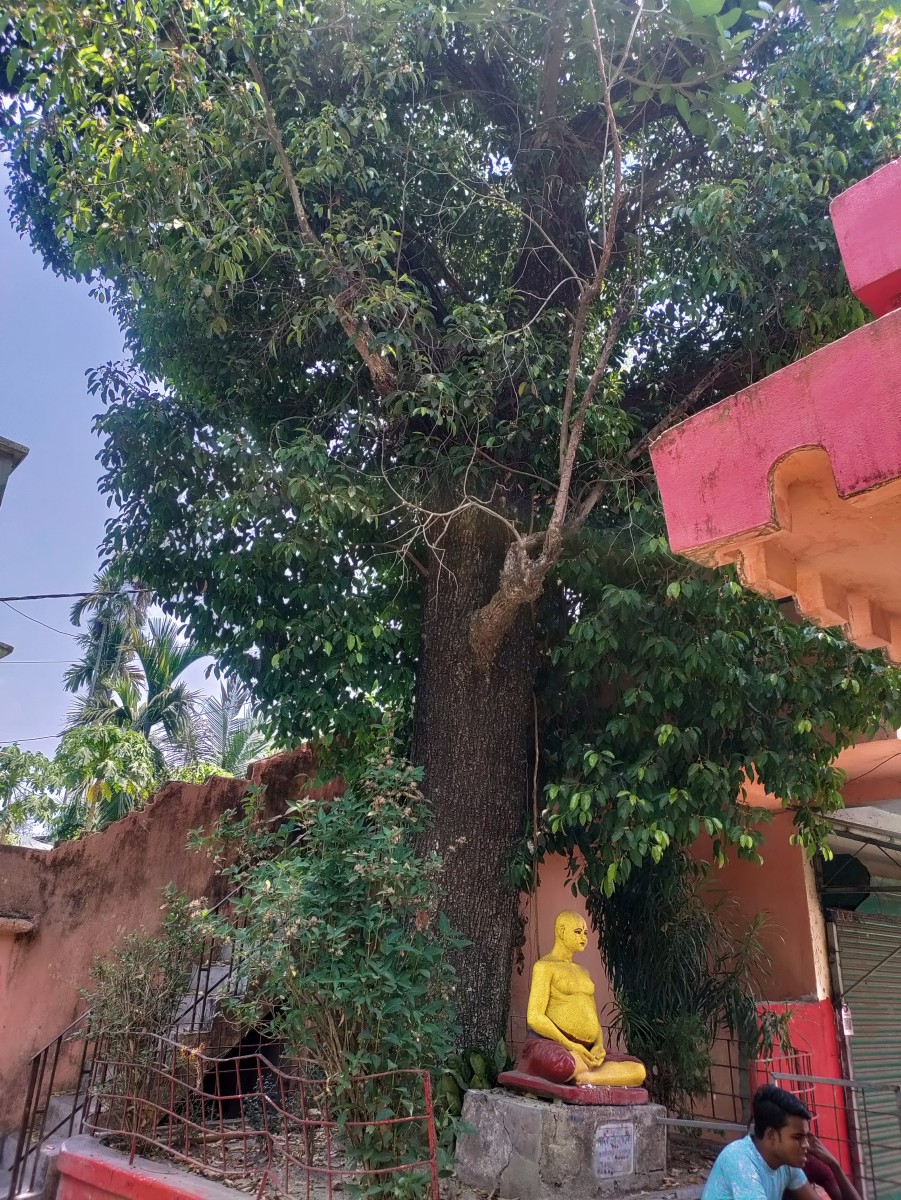 Maida Patalbhedini Dakshina Kali temple - a Kali temple with connection ...