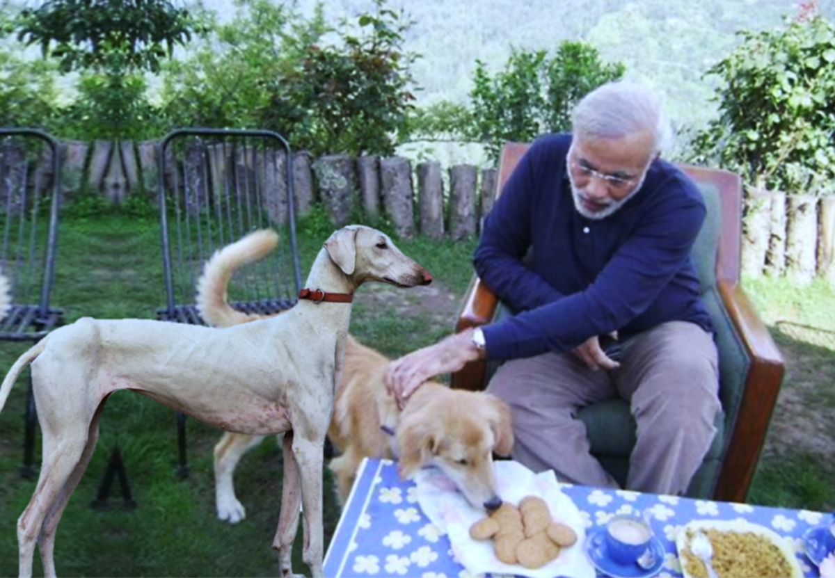21 Most Popular Indian Leaders And Their Adorable Dogs - HubPages