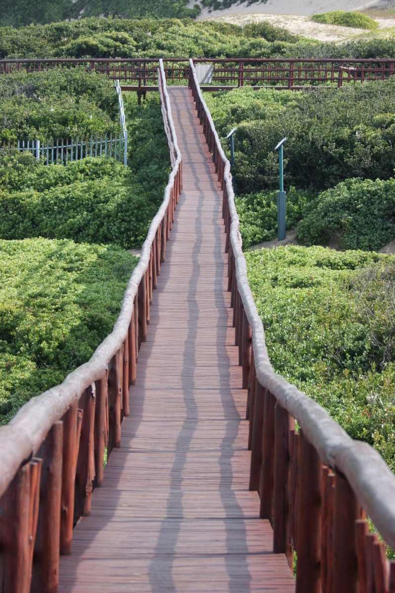 Nahoon Point Nature Reserve-Where Surfers and Sharks Meet. - HubPages