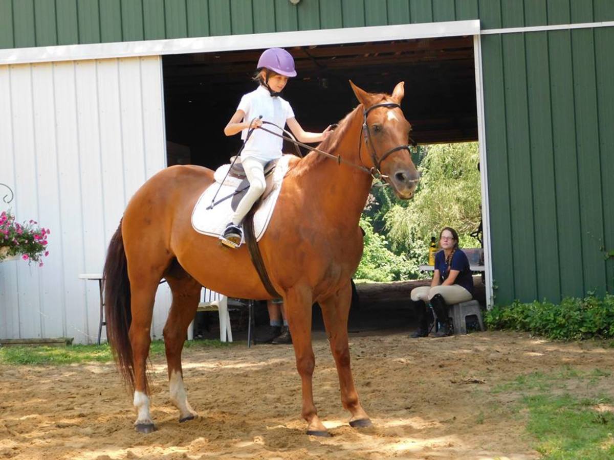 Proper Hand Position And How It Helps You - HubPages