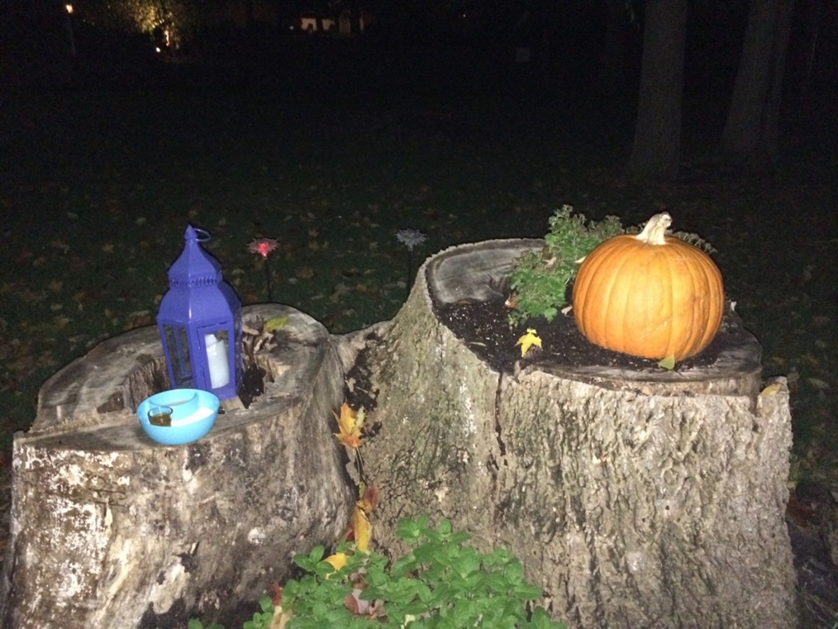 DIY: Sidhe (fairy) mounds out of tree stumps - HubPages