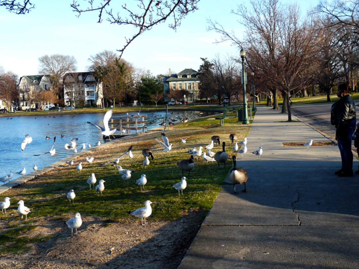 Byrd Park - Richmond Virginia - HubPages