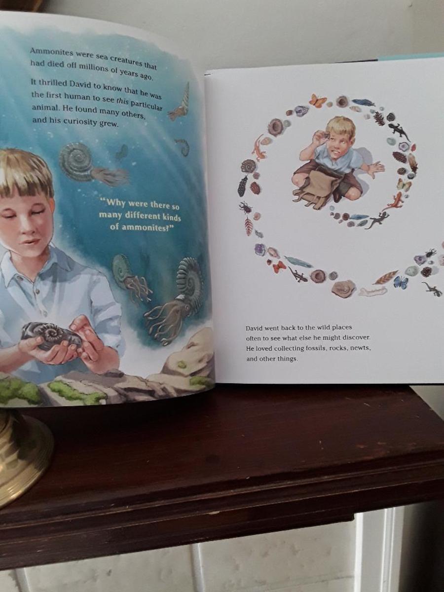 Naturalist Who Made a Difference to Our Planet-His Story in Gorgeous ...