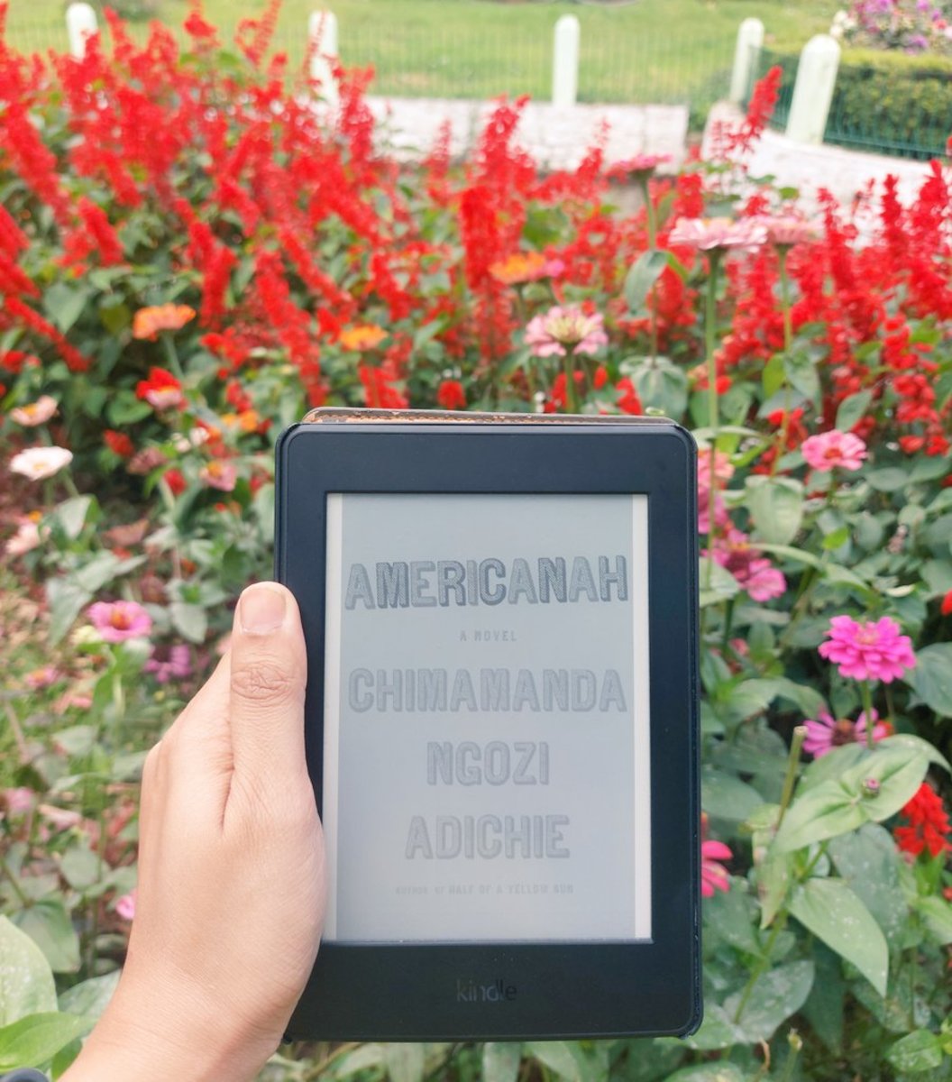 Essential Reading: 6 Captivating Books by Chimamanda Ngozi Adichie ...