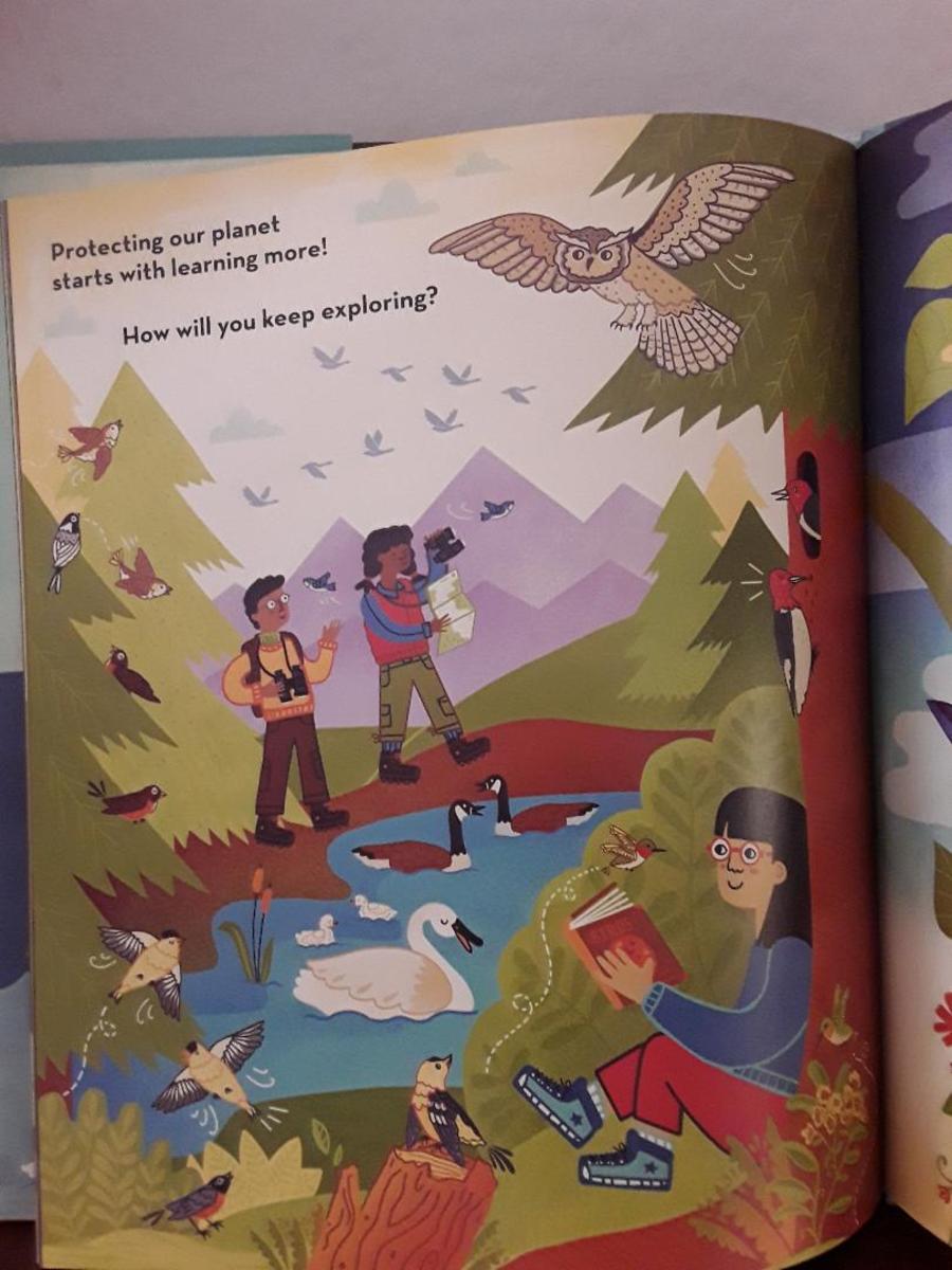 Birds and Their Nests in Informative and Beautifully Illustrated ...