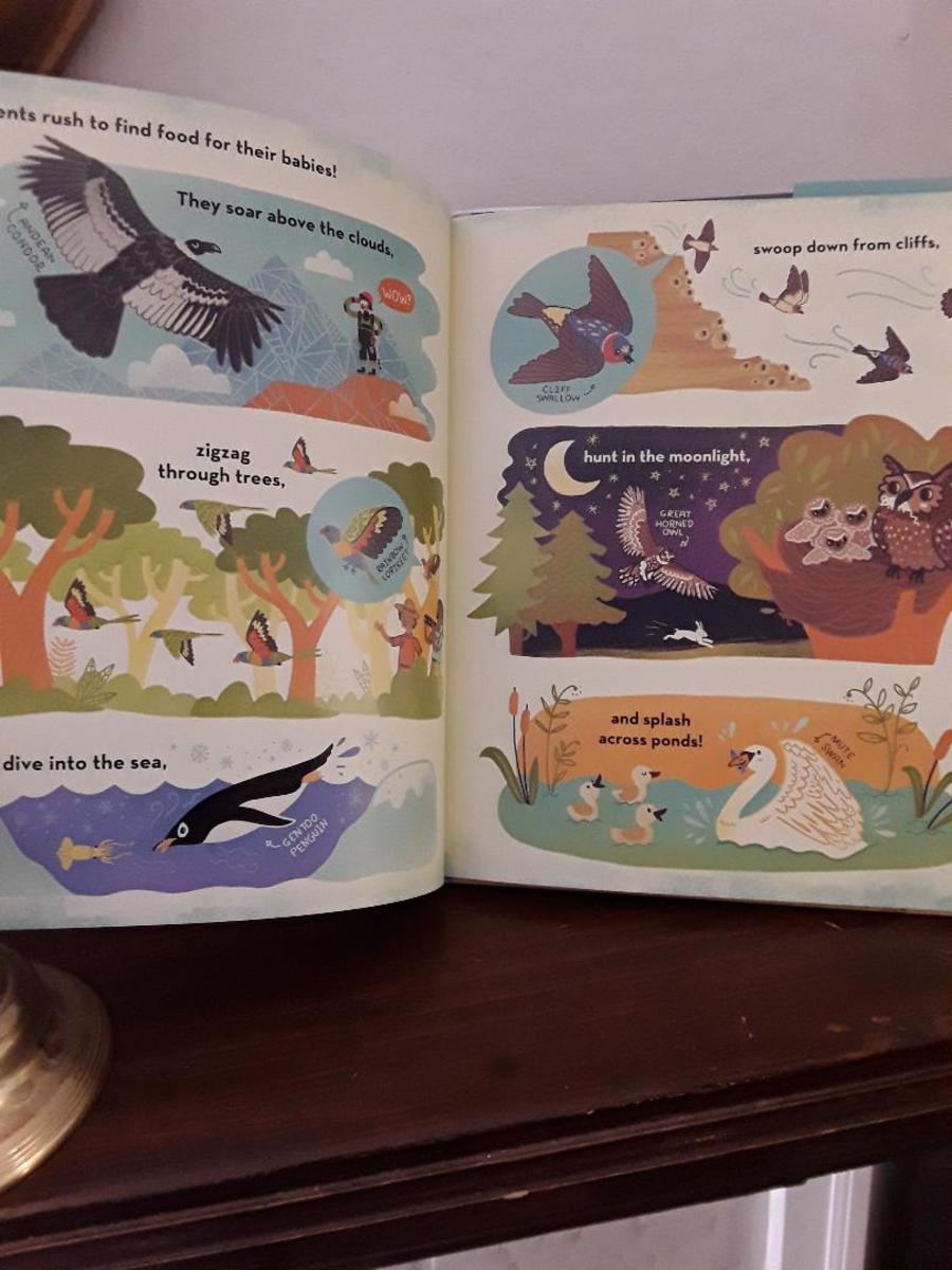 Birds and Their Nests in Informative and Beautifully Illustrated ...