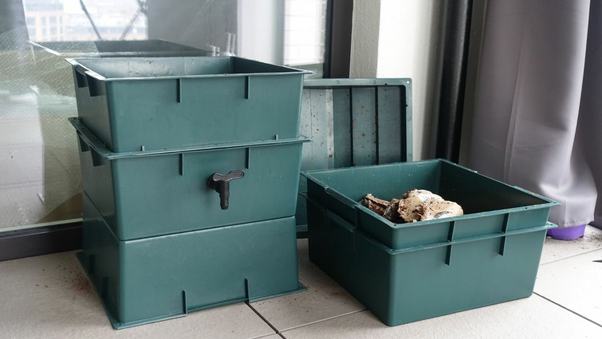 How to Grow and Raise Earthworms for Easy Money - HubPages