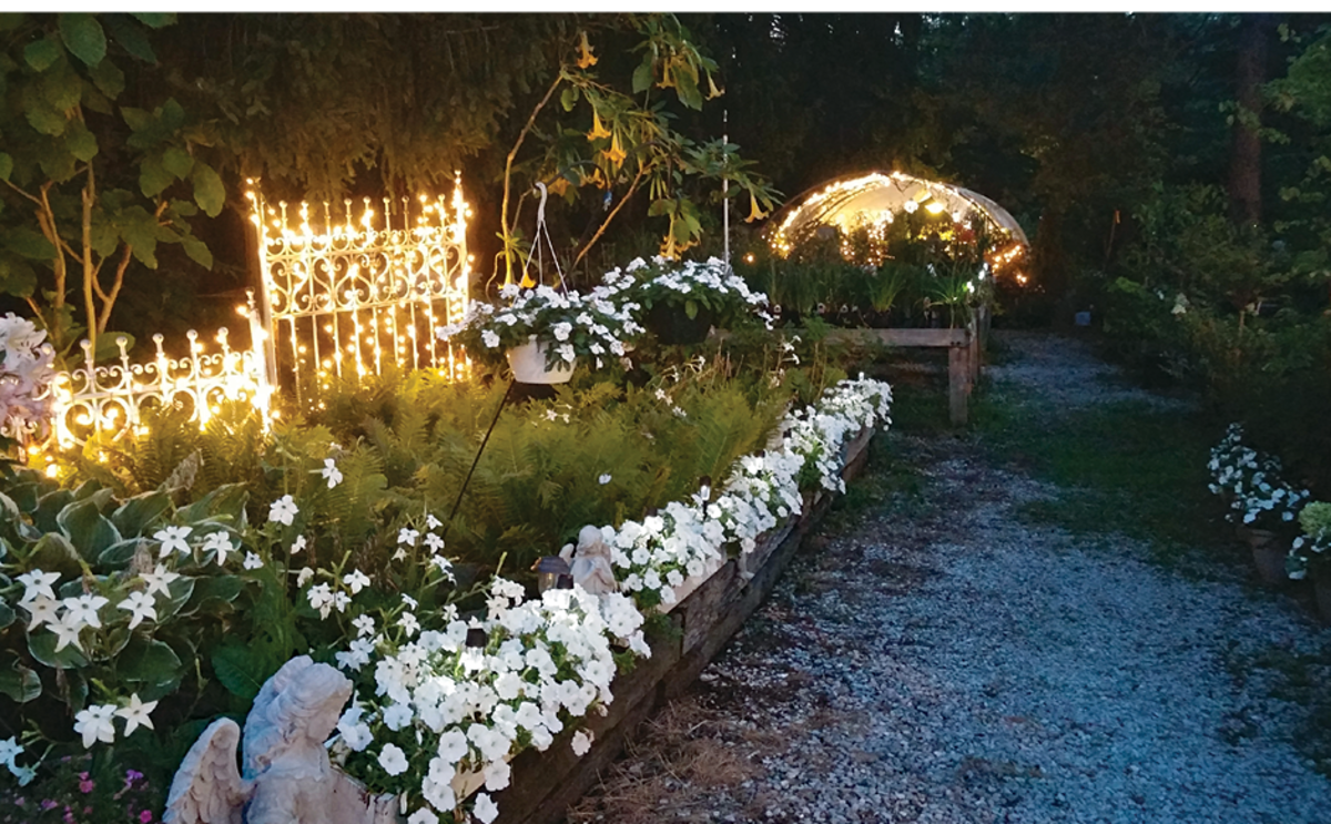 How to Create a Moonlight Garden - HubPages