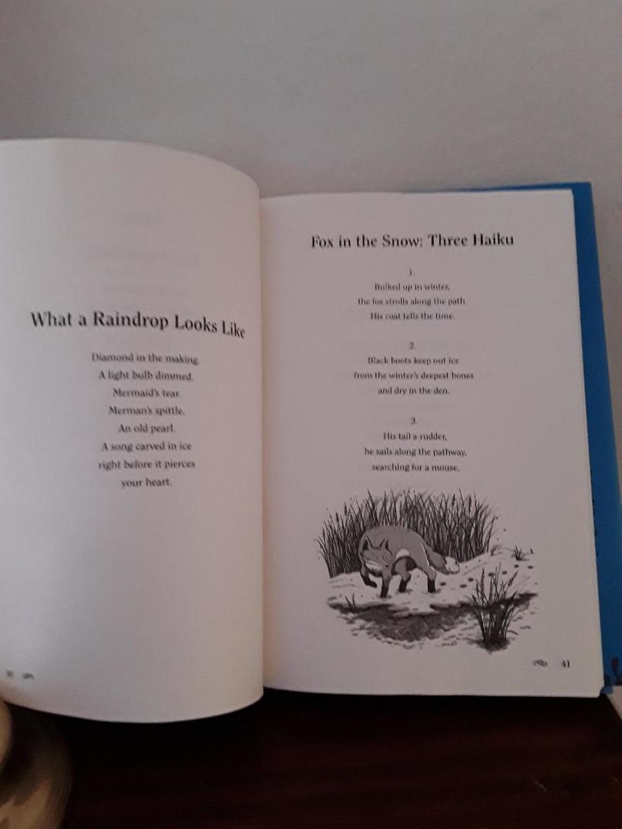Poetry Anthology Celebrates Childhood With Topics That Children Relate ...