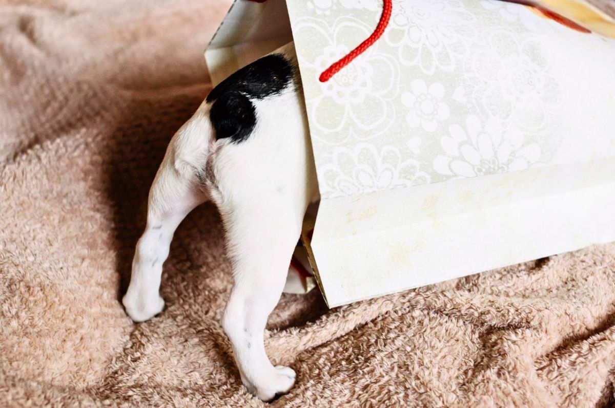 60+ Examples of Things You Can Reuse - HubPages