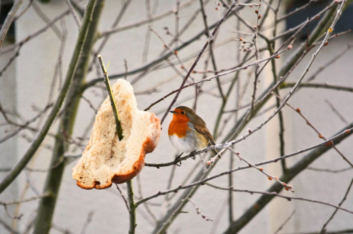 60+ Examples of Things You Can Reuse - HubPages