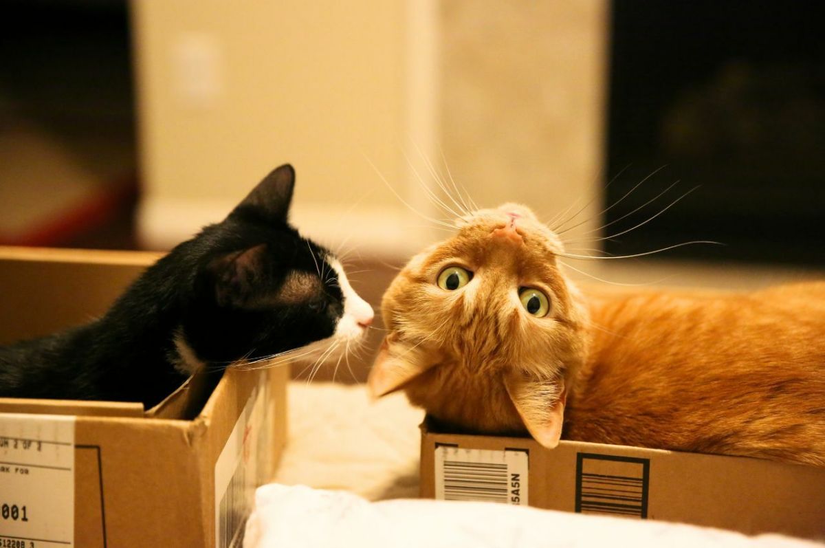 60+ Examples of Things You Can Reuse - HubPages