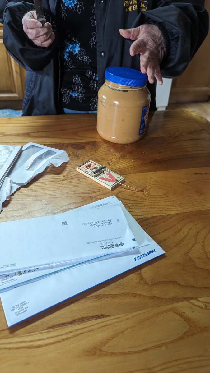 Victor Wooden Mouse Trap - HubPages