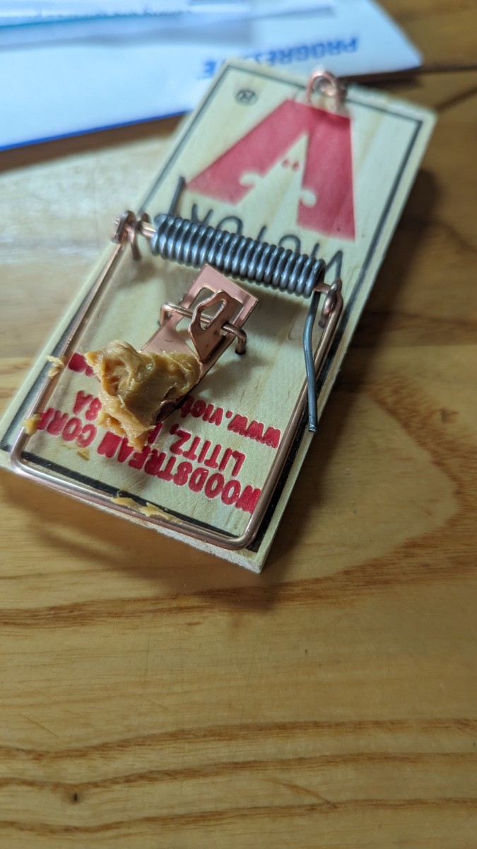 Victor Wooden Mouse Trap - HubPages