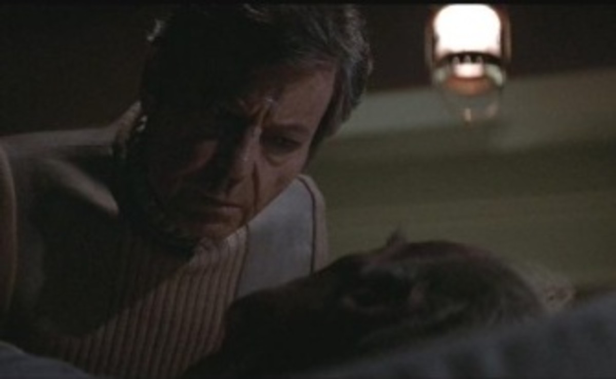 Star Trek: Provenance of Shadows: Review, Themes, Analysis and Thoughts ...