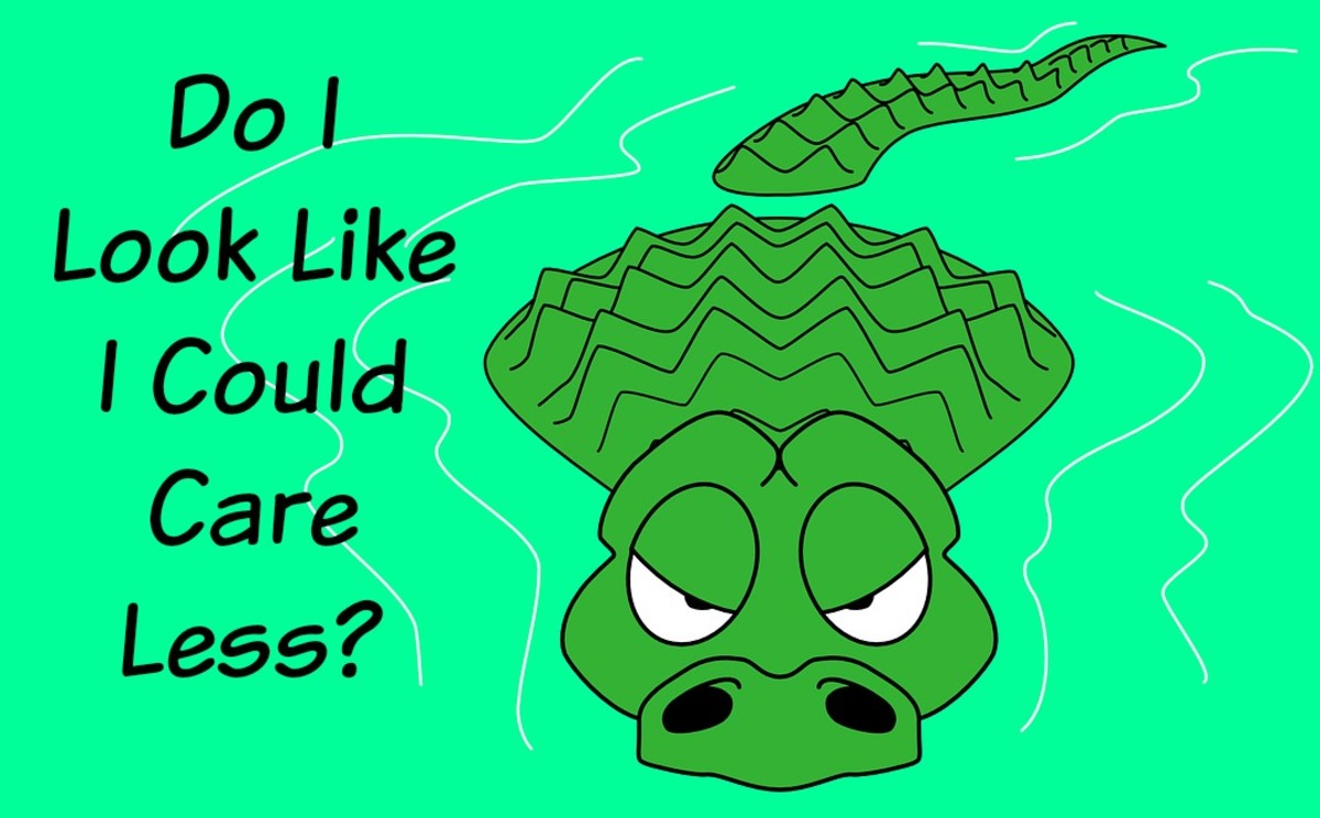 Could or Couldn’t Care Less? The Naughty Grammarian Explains - HubPages