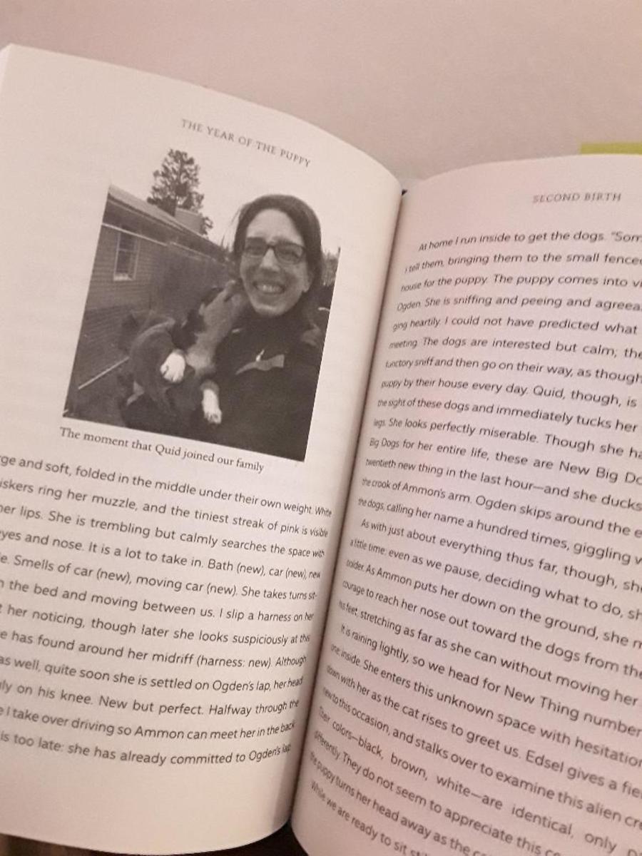 Puppy's First Year as Told in Educational Story That All Dog Owners Can ...