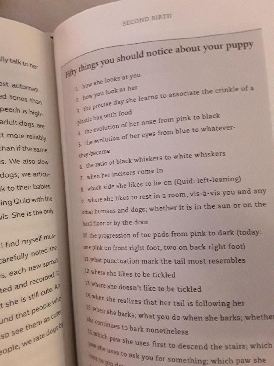 Puppy's First Year as Told in Educational Story That All Dog Owners Can ...