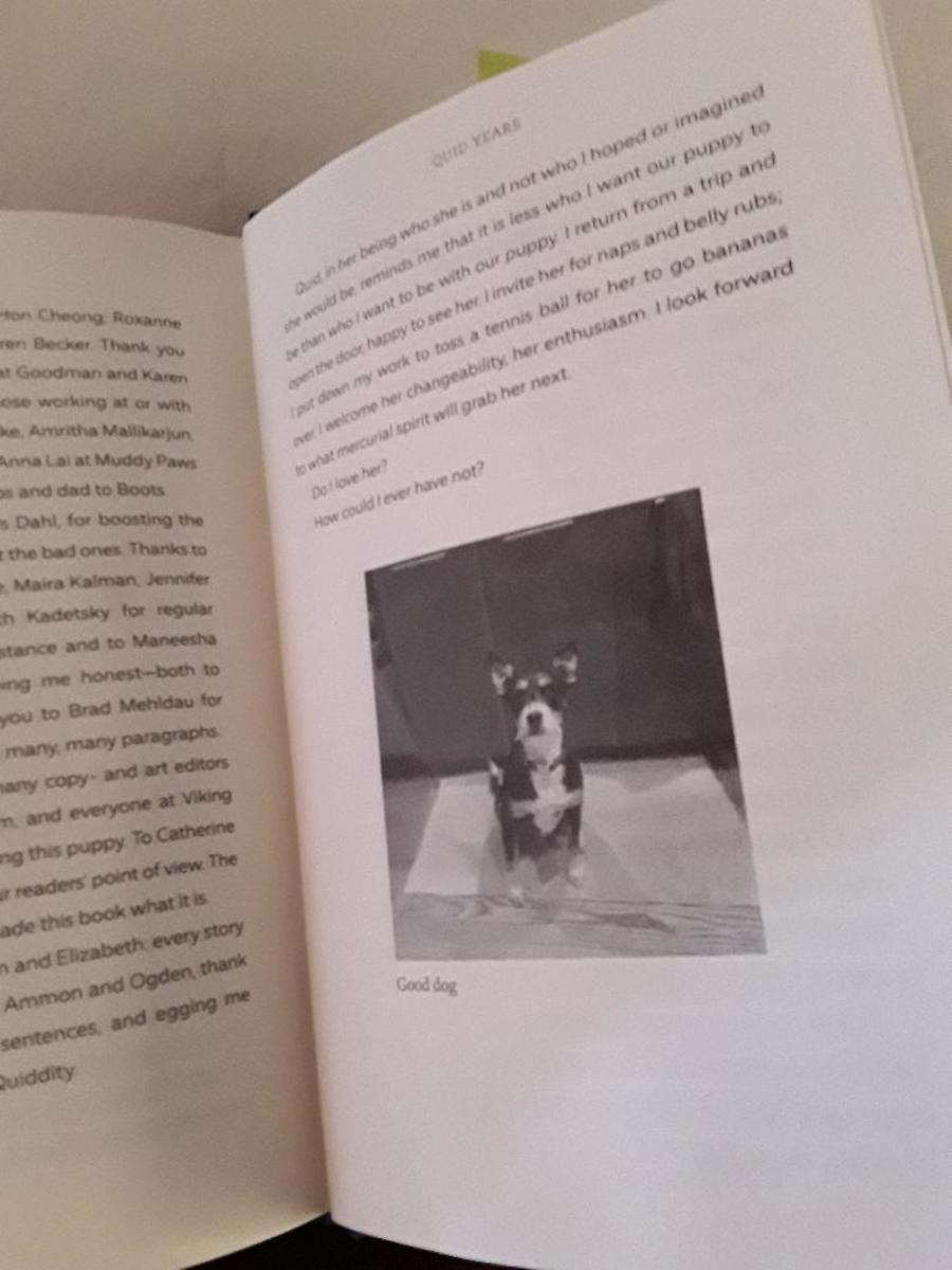 Puppy's First Year as Told in Educational Story That All Dog Owners Can ...