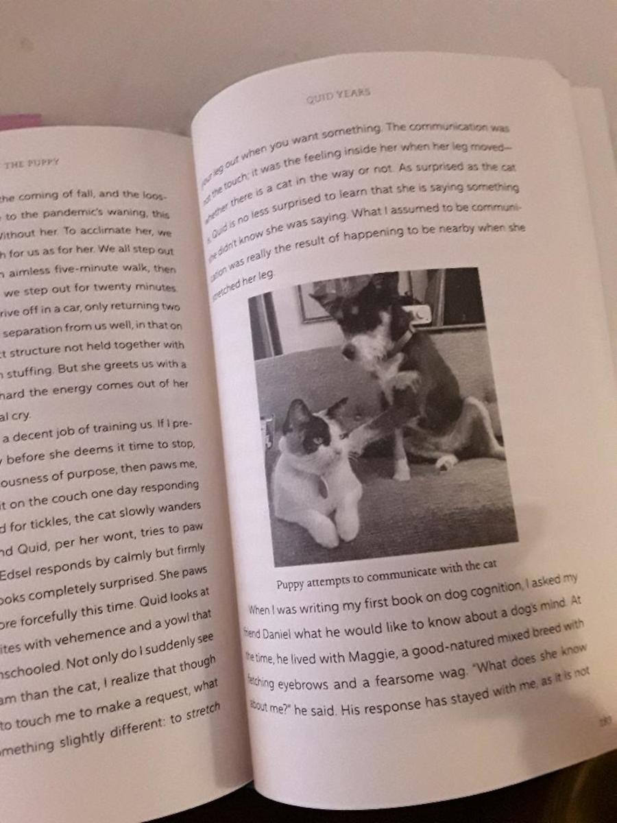 Puppy's First Year as Told in Educational Story That All Dog Owners Can ...