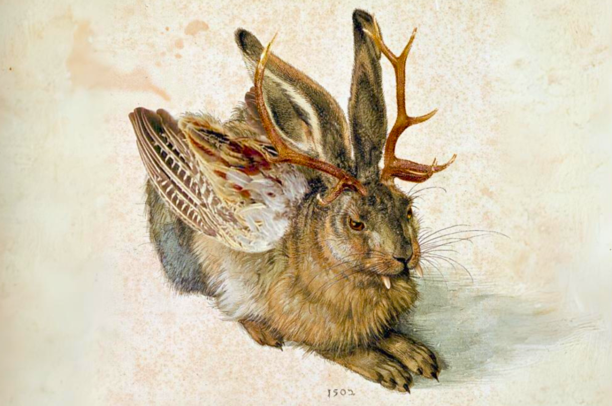 Beautiful Mythical Creatures