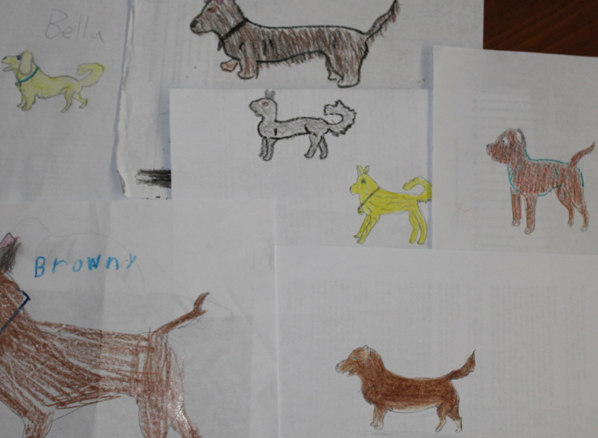 Genetics STEM Lesson Plan - HubPages