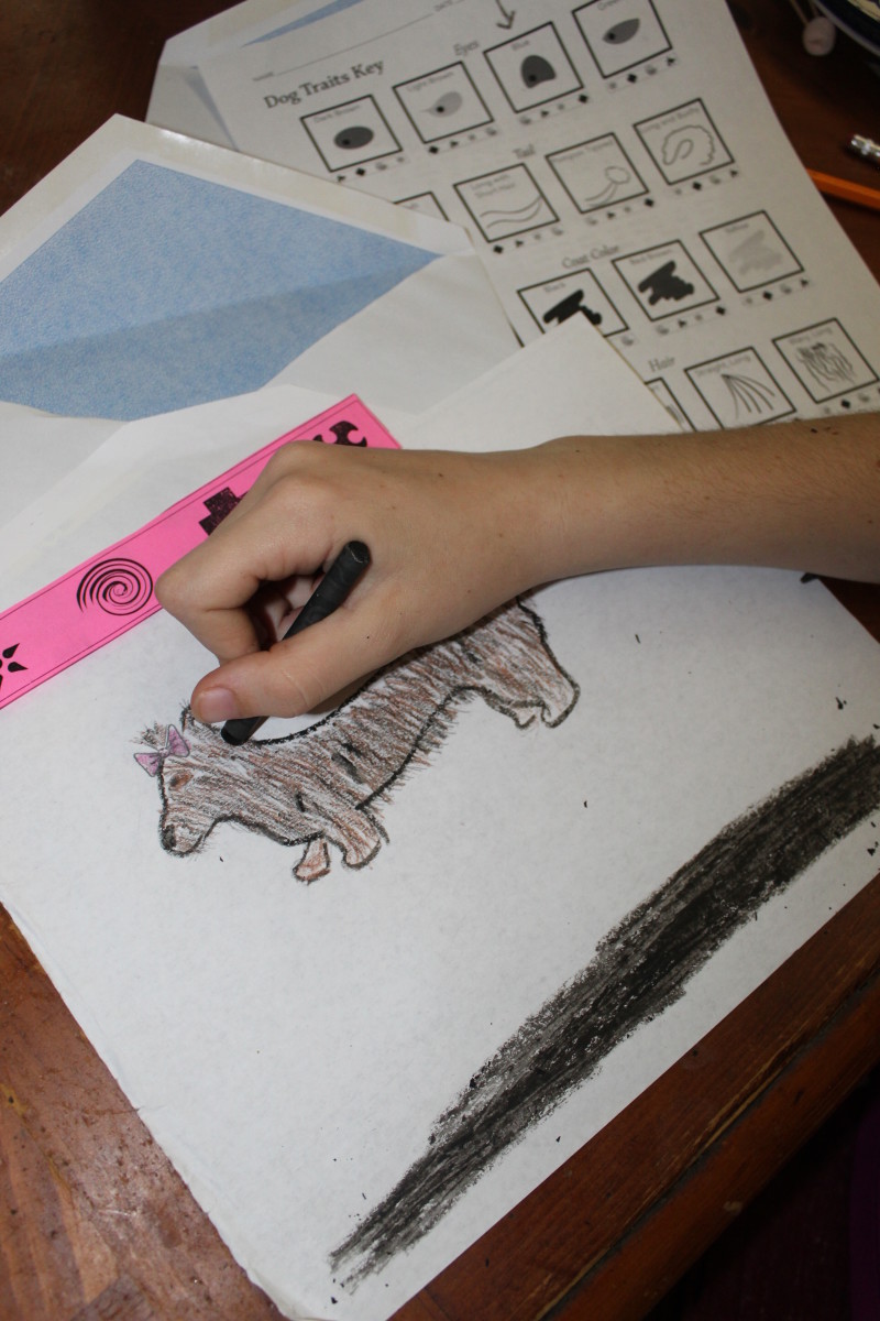 Genetics STEM Lesson Plan - HubPages