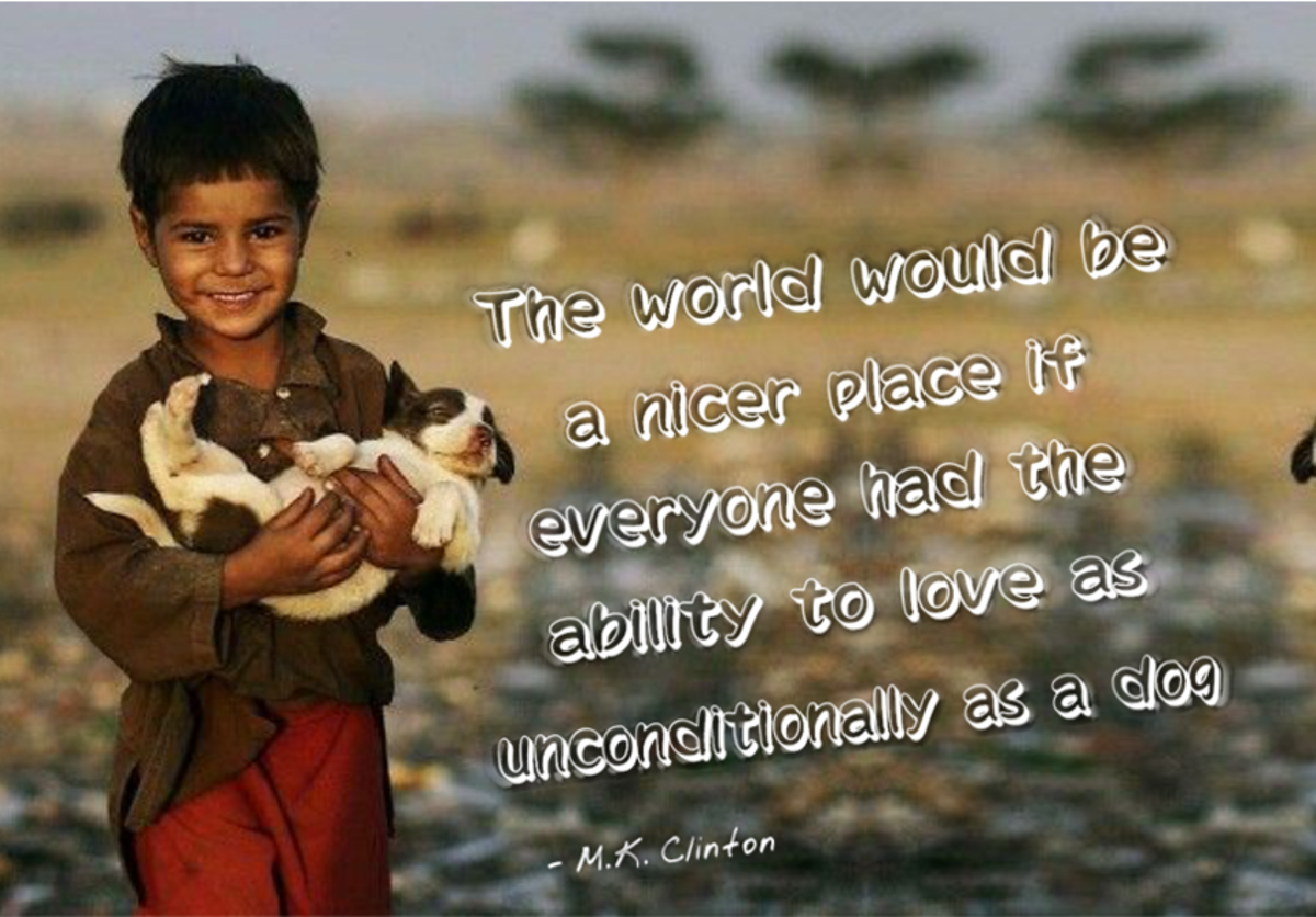 National Dog Day: 50+ Best Dog Day Quotes Instagram Captions And FAQs ...