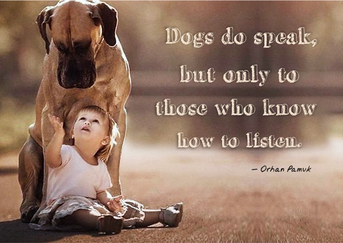 National Dog Day: 50+ Best Dog Day Quotes Instagram Captions And FAQs ...